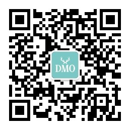 DMO达摩国际 - Contact